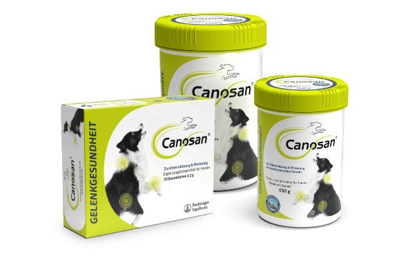 CANOSAN® – Gesund & Beweglich: Gelenkschutz für Hund & Katze