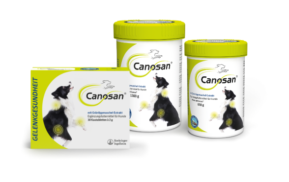 CANOSAN® – Gesund & Beweglich: Gelenkschutz für Hund & Katze